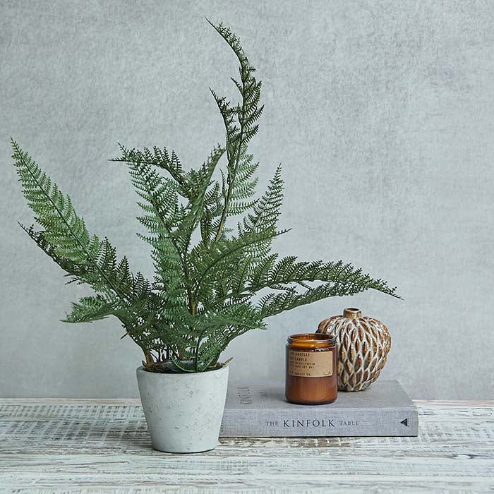 Bestsellers | Abigail Ahern